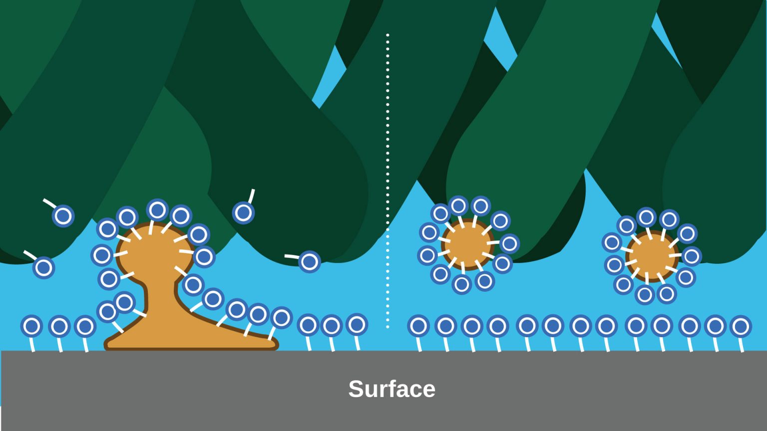 Automotive Rinseless - How It Works - OSREN | Blog